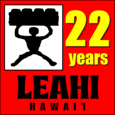LEAHI – LEGO® Enthusiasts Association of Hawaii – Hawaii's Original ...